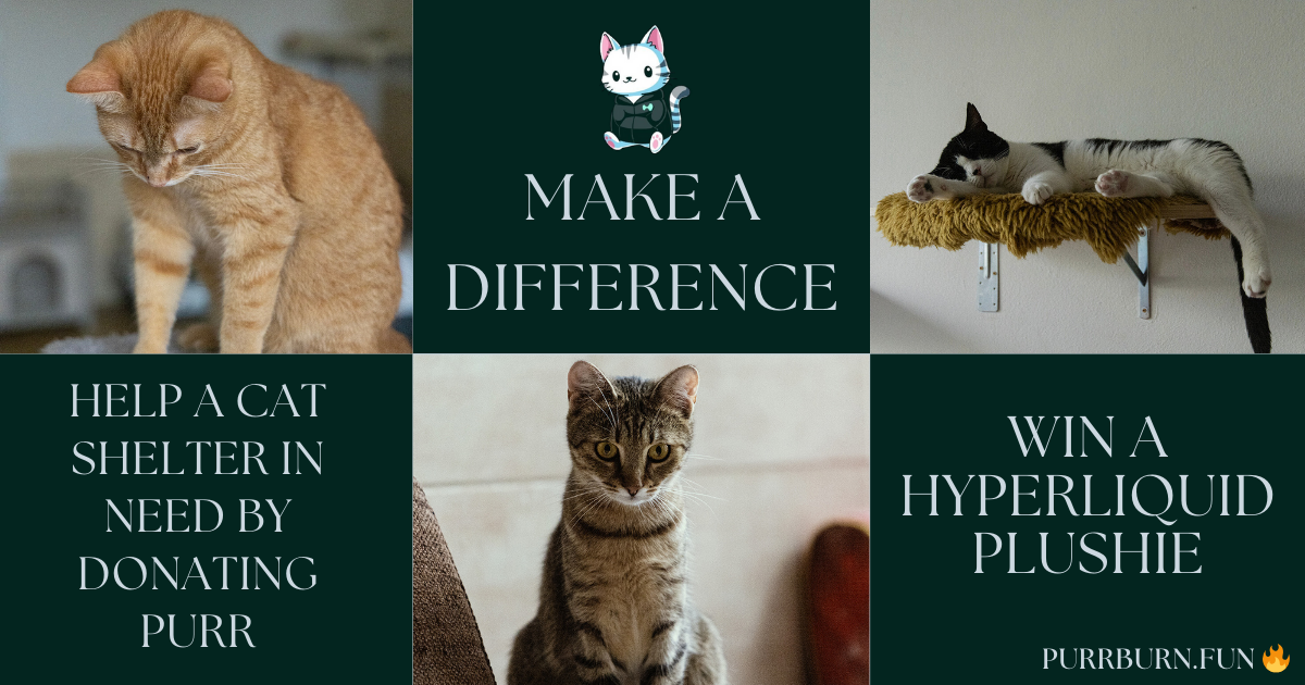 Make a difference | PURR Burn 🔥